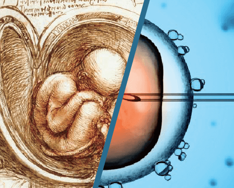 The A.R.T. of Reproduction: Re-conceiving the Human Person - Pontifical ...